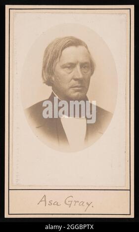 Portrait of Asa Gray (1810-1888), March 1887 Stock Photo - Alamy