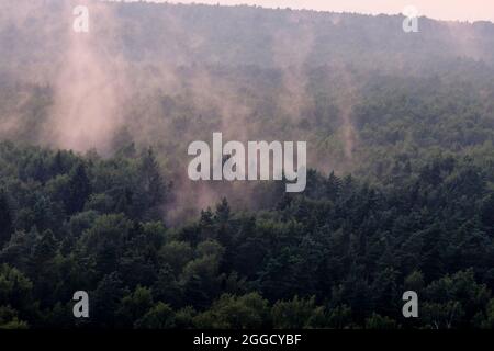 Ominous mystical fog over the forest, halloween background. Evaporation ...