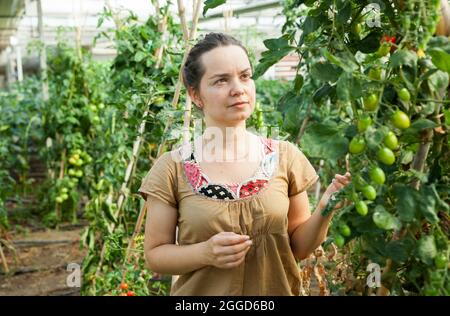 Woman working in glasshousw Stock Photo - Alamy