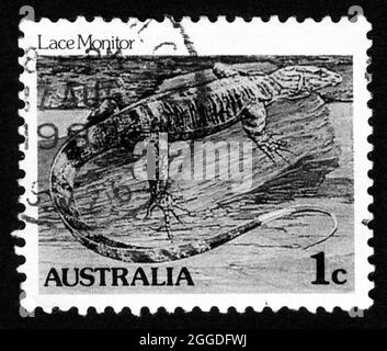 Close up photo of a Lace Monitor Stock Photo - Alamy