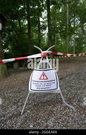 warning sign oak processionary moth warnung vor ...