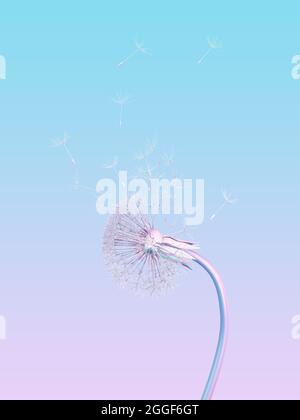 pink blue dandelion particles fly up on white background. 3d rendering ...
