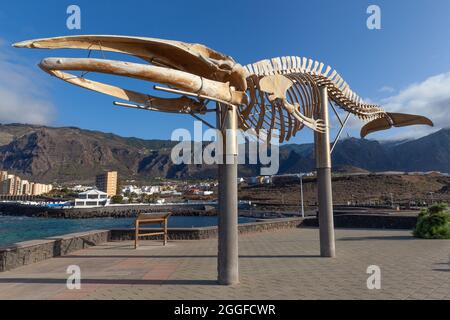 Los Silos, Santa Cruz De Tenerife, Spain, 12-08-2023. Whale skeleton sculpture in Los Silos ...