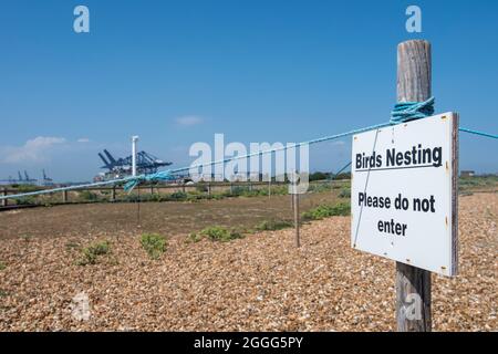 Bird nesting sign on Languard Nature Reserve beach with Felixstowe ...