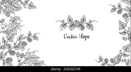 Hop border plant branch sketch style set. Frame hand drawn hops with ...
