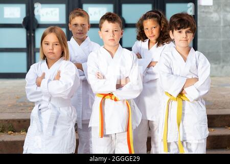 Group of preteen children karate fighters with arms crossed Stock Photo ...