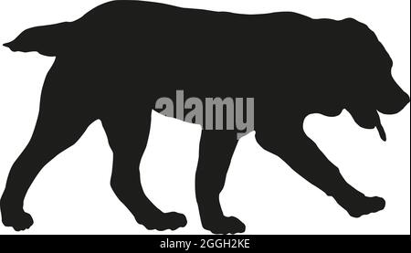 Walking central asian shepherd dog puppy. Black dog silhouette. Alabai ...