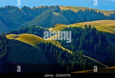 Sunan, Sunan, China. 1st Sep, 2021. On August 31, 2021, the beautiful ...