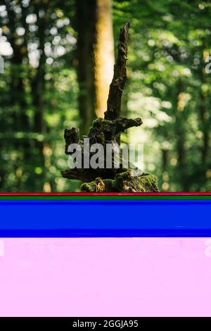 Germany, Teutoburg Forest, Großer and Kleiner Freeden, Osnabrücker Land ...