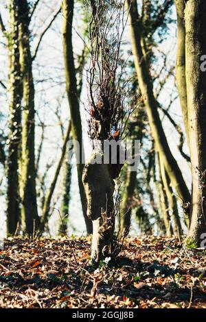 Germany, Teutoburg Forest, Blue Lagoon, Lengerich Stock Photo - Alamy