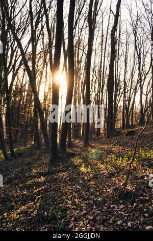 Germany, Teutoburg Forest, Blue Lagoon, Lengerich Stock Photo - Alamy