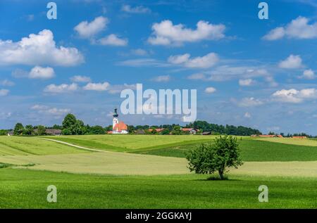 Germany, Bavaria, Upper Bavaria, district Ebersberg, Baiern, district ...