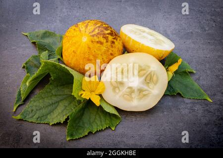 Cucumber crystal lemon, cucumis sativus over dark background Stock ...