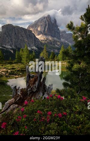 Lago di Limides on a beautiful summer evening Stock Photo - Alamy