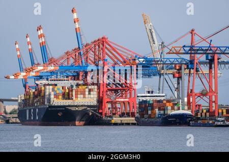 Container ship MSC Maria Saveria entering the Port of Felixstowe ...