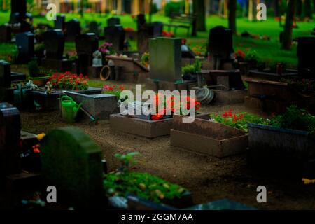Graves with gravestones and flowers in a public cemetery, selective ...