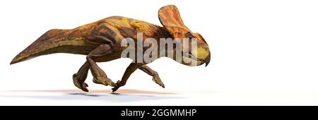 Protoceratops, dinosaur from the Late Cretaceous period, sitting ...