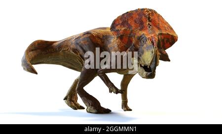 Protoceratops, dinosaur from the Late Cretaceous period, sitting ...