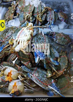 Freshly caught blue crabs for sale at the Negombo Fish Market at ...