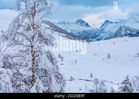 Winter landscape near Dinglavatnet lake. Volda, Norway Stock Photo - Alamy