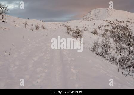 Winter landscape near Dinglavatnet lake. Beautiful sunset over ...