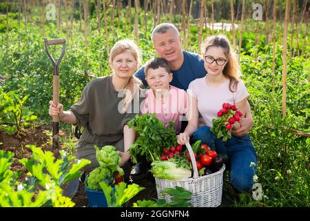 Happy family of four with basket of ripe vegetables on field Stock ...