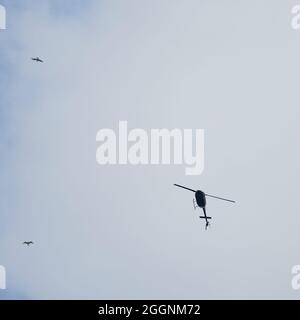 Two bladed helicopter seen in the sky Stock Photo - Alamy