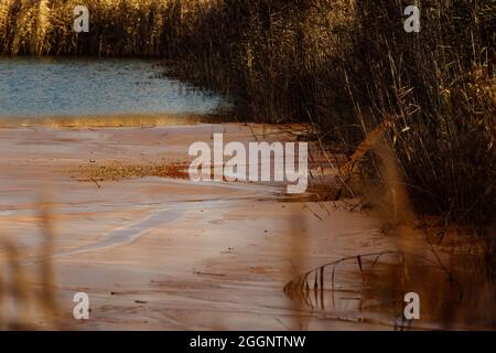 the pipe discharges waste into the water. contamination of the ...