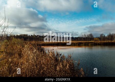 a grassy lake shore. the wildlife of the reserve without the presence ...