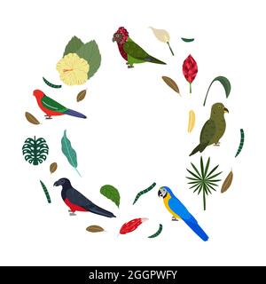 Kea parrot in cartoon style on white background. Vector hand drawn ...