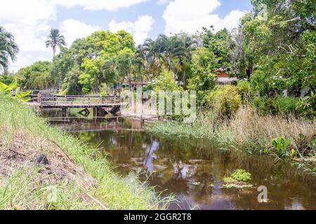 Water canal in Suriname Stock Photo - Alamy