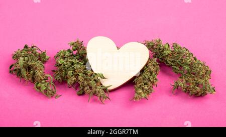 2 love heart and cannabis buds on pink background, symbol love on ...