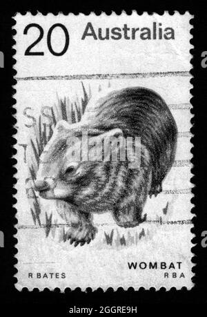 Postage stamp ( Australia - Wombat Stock Photo - Alamy