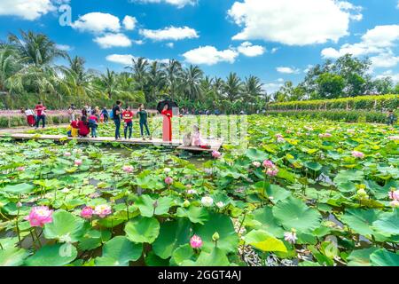 Tourists take photos as lotus flowers bloom and bees gather pollen at ...