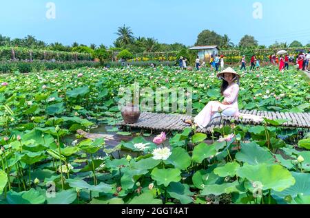 Tourists take photos as lotus flowers bloom and bees gather pollen at ...