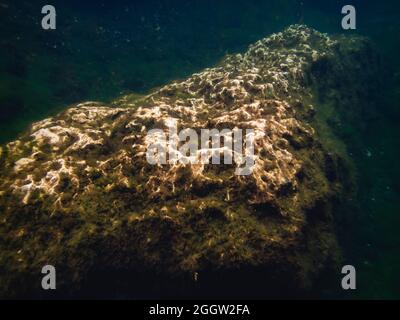 Non Exclusive: TULUM, MEXICO -SEPTEMBER 2: A shoal are seen at the ...