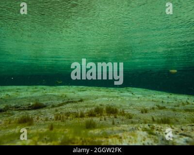 Non Exclusive: TULUM, MEXICO -SEPTEMBER 2: A shoal are seen at the ...