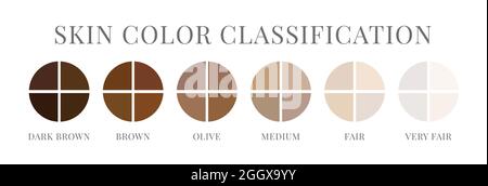 Skin tone color scale chart. Brown palette vector human skin ...