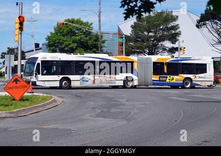 Halifax Transit bus (Nova Bus LFS) operating on route 61 on Wyse Road ...