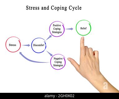 Presenting Stress and Coping Cycle Stock Photo - Alamy