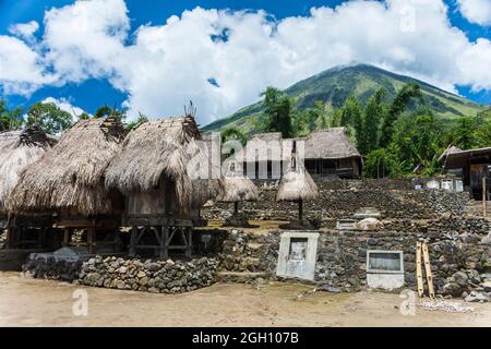 Ancestral Ngadhu posts and Bhaga model houses in the traditional ...