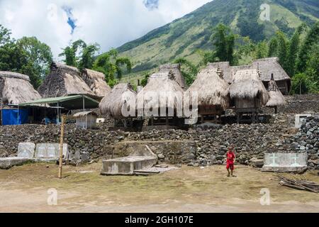 Ancestral Ngadhu posts in the traditional village Luba. East Nusa ...