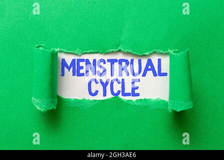 Hand writing sign Menstrual Cycle. Business overview monthly cycle of ...