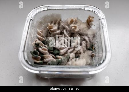 Forgotten pasta in glass container covered with mold Stock Photo - Alamy