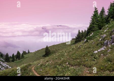 Typical Chartreuse landscape with the sun above the clouds Stock Photo ...