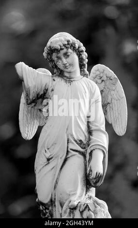 Angel without face - statue at old cemetery, circa 1860, Krasna lipa ...
