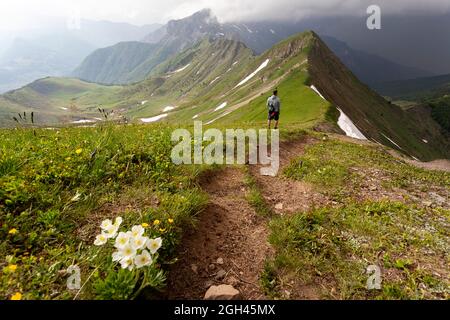 Tourist hiking to the top of the talijanka peak (Maja e Vajushës) in ...