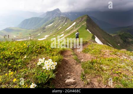 Spectacular Maja e Vajushës (talijanka) peak in Prokletije Mountain ...