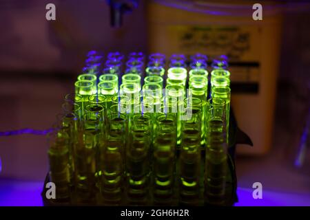Glowing fluorescent compound collected from column chromatography in a ...