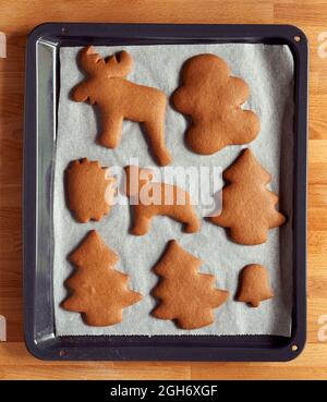 Top view of gingerbread cookies before baking on baking tray Stock ...